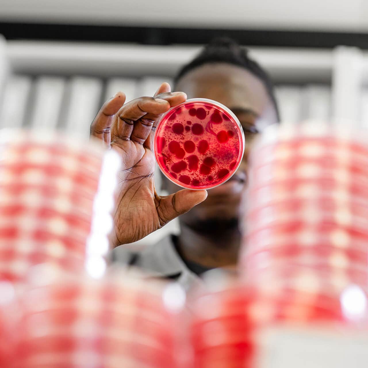 Laboratory Testing Services | Accredited, Accurate Results