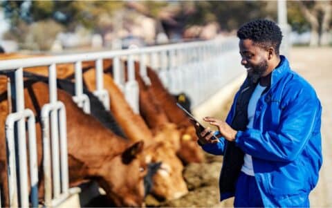 Wet Chemistry Testing for Animal Feed | AssureCloud